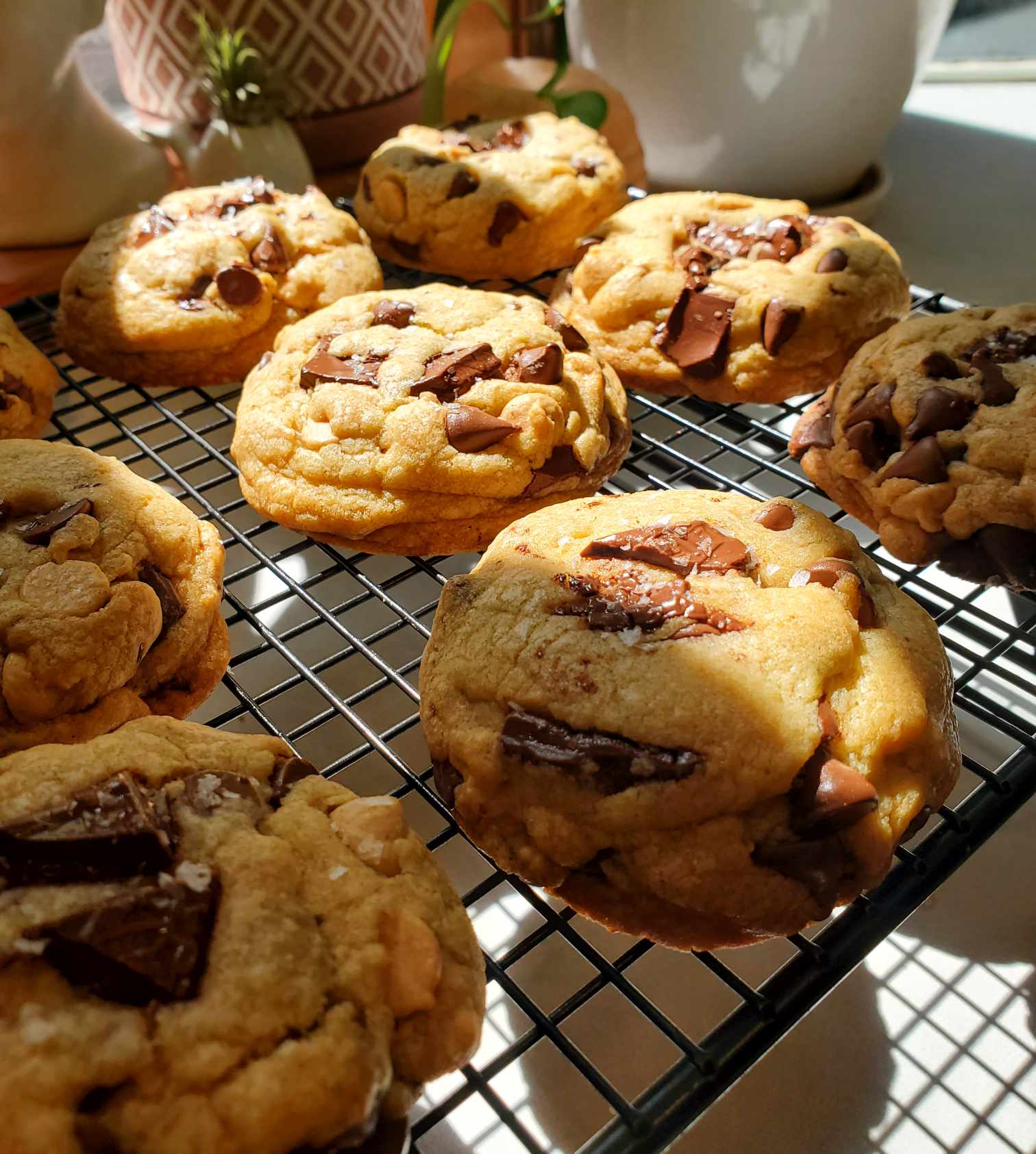 The BEST Chocolate Chip Cookies! - She's Got The Cooks